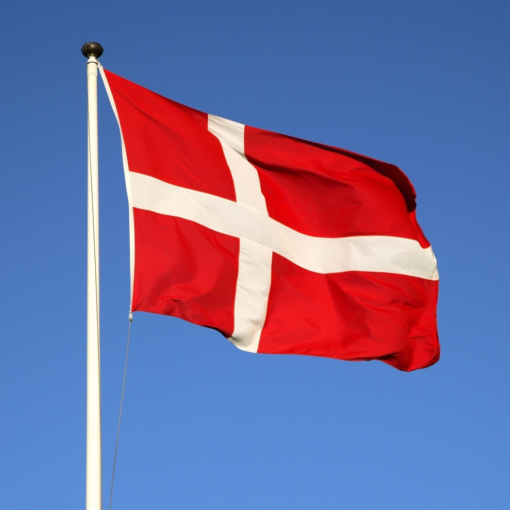 Dannebrog til flagstang på 10 meter. Størrelsen er 208x275 cm.