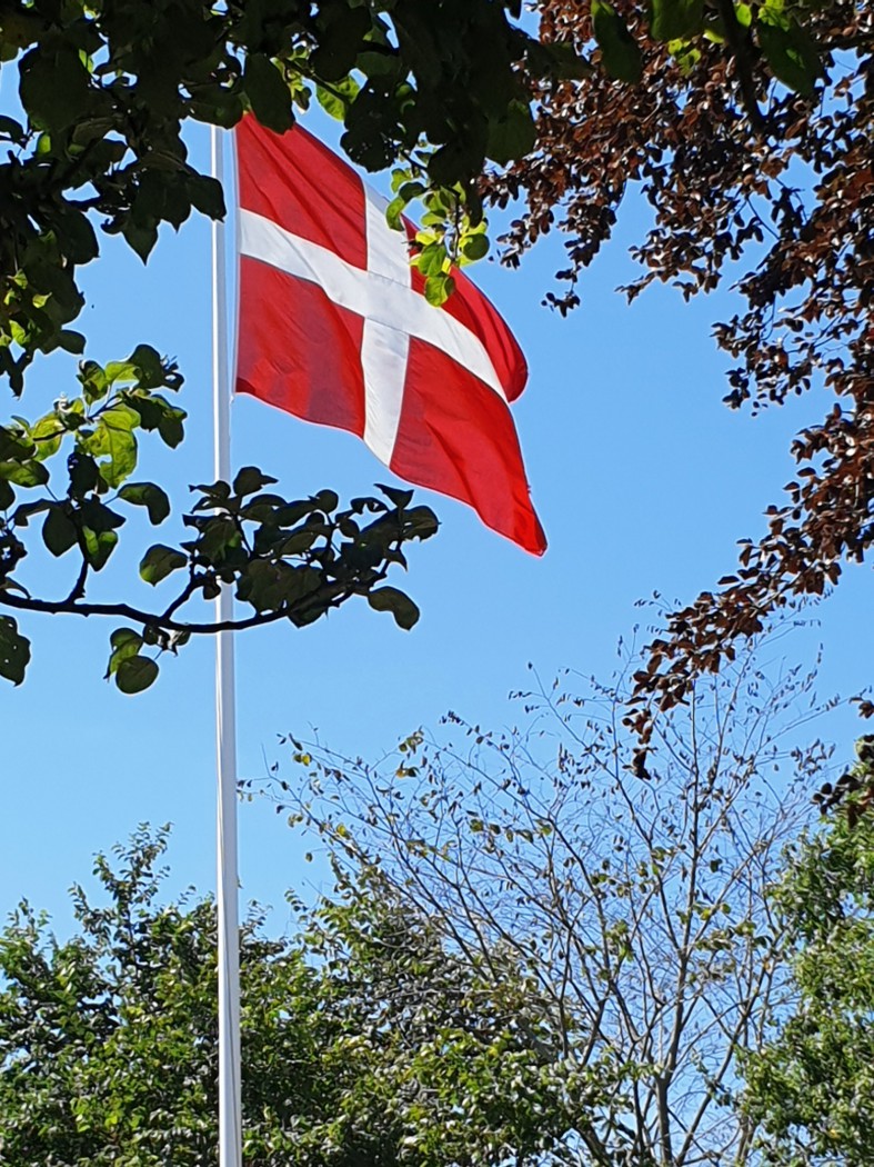 Dannebrog til 12 meter flagstan. Flagets mål er 246x325 cm.